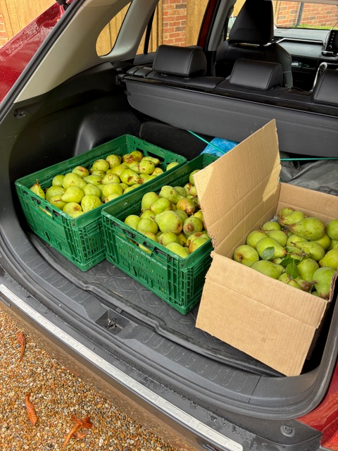 A pear-fect gift: Crookham village resident shares harvest with Hart ...